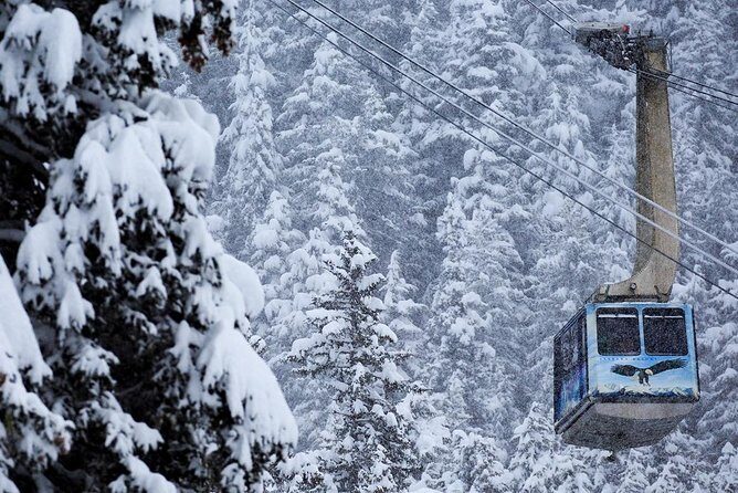 Winter - Alaska Wildlife Center with Alyeska Tram - The Itinerary: What to Expect