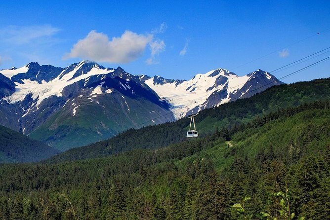 Winter - Alaska Wildlife Center with Alyeska Tram - What Do Travelers Say?