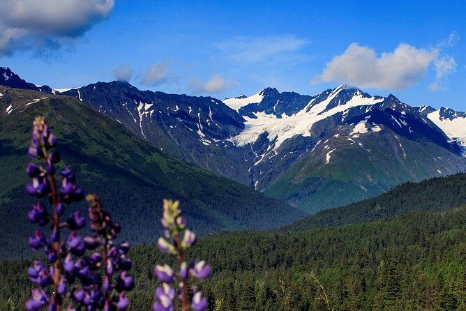 Winter - Alaska Wildlife Center with Alyeska Tram - FAQ