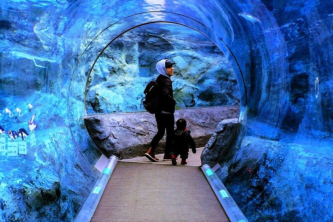 Winter Asahiyama Zoo and Blue Pond Aoi-Ike 1 Day Bus Tour - Review Highlights