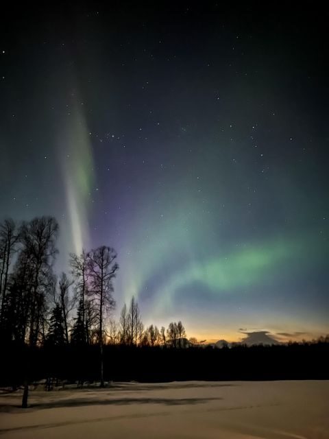 Winter Dog Sled Tour Day or Night Mush! - The Sum Up
