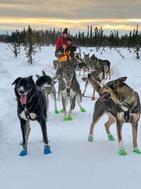Winter Dog Sled Tour Day or Night Mush! - FAQ