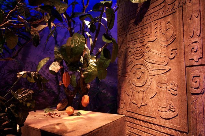 Winter Gruyères, chocolate & cheese tour from Lausanne - What’s Included and What’s Not