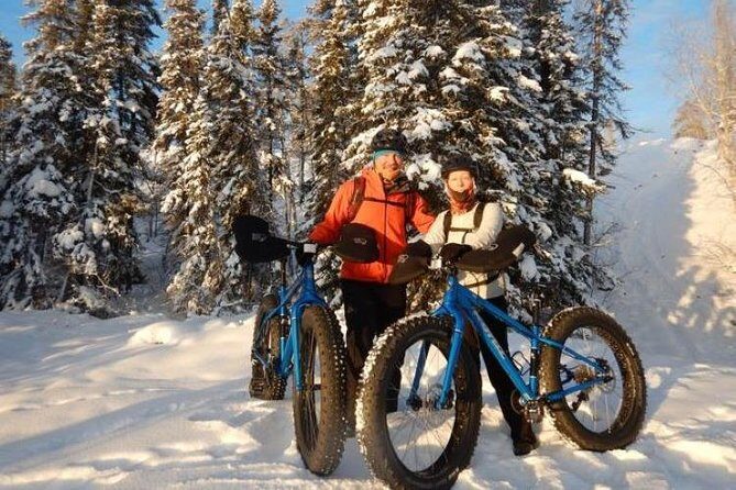 Winter Guided Fat Bike Tour - Exploring the Winter Fat Bike Tour in Yellowknife: An Honest Review