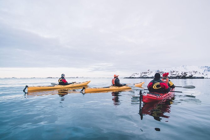 Winter Half Day Kayak Tour - FAQ