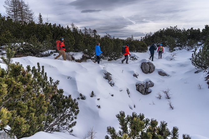 Winter Hike in Julian Alps - What’s Included and What’s Not