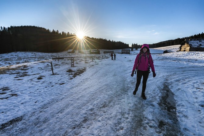 Winter Hike in Julian Alps - Is This Tour Right for You?