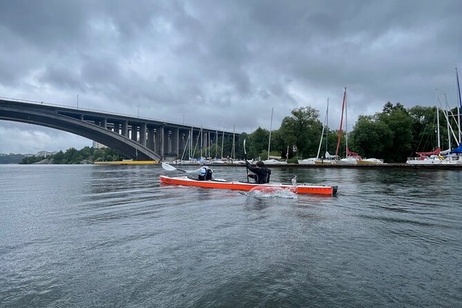 Winter Kayak Tour in Stockholm City (Dry Suit Kayaking) - Traveler Experiences