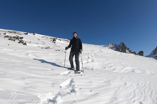 Winter Snowshoeing Adventure - Pricing and Value