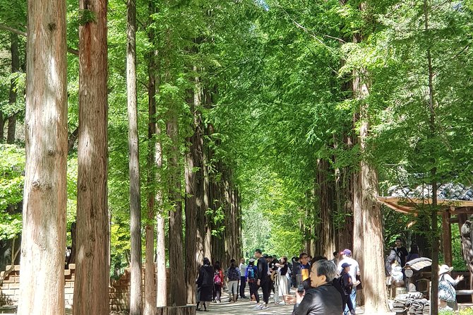 Winter Sonata TV Tour on Nami Island from Seoul - Authentic Experiences and Review Highlights
