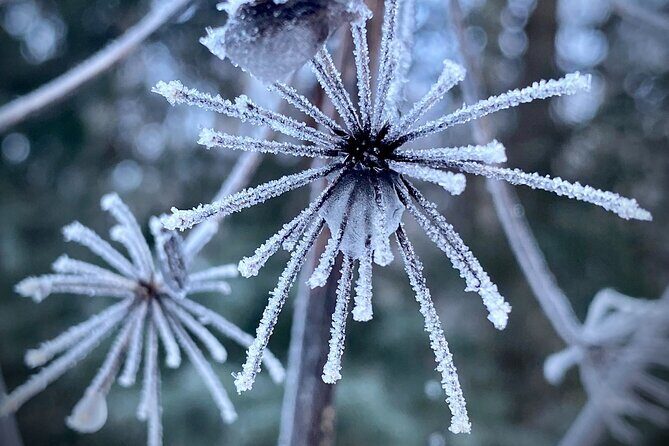 Winter Valley and Forest Hike - The Itinerary and Its Charm