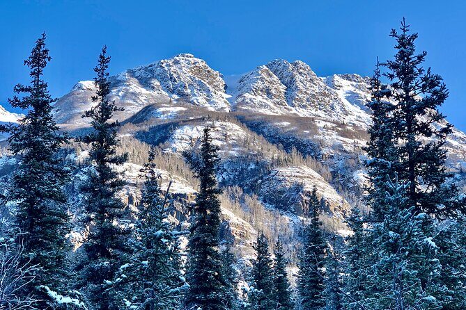 Winter Valley and Forest Hike - The Price: Is It Worth It?