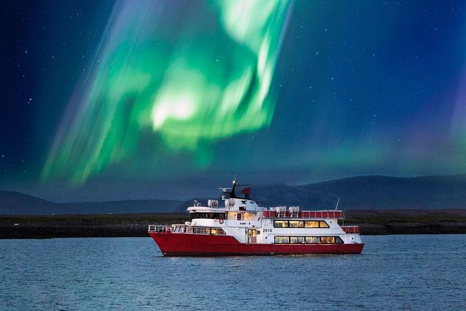 Winter Whale Watching & Northern Lights Cruise | Combo From Reykjavik - Northern Lights Cruise Details