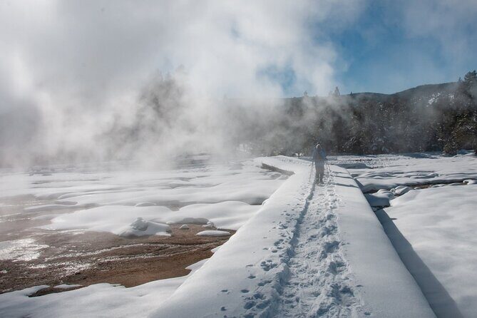 Winter Wildlife Safari in Yellowstone National Park - FAQs