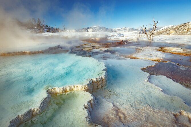 Winter Wildlife Safari in Yellowstone National Park - Final Thoughts