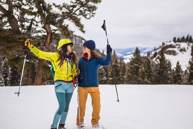 Winter Wildlife Safari: Lamar Valley | Bozeman | PRIVATE + Lunch - Transportation, Duration, and Practical Considerations
