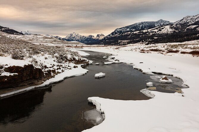 Winter Wildlife Watching Private Tour - Frequently Asked Questions