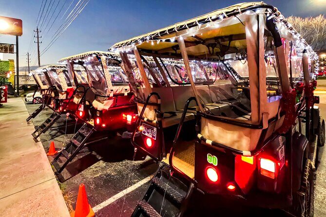 Winterfest Scenic Evening Tour - Introduction: Who’s This Tour For?