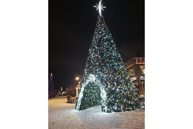 Winterfest Scenic Evening Tour - Is It Worth the Price?