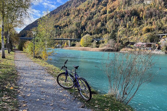 Winterlaken Bike Tour - Highlights From Traveler Reviews and Recommendations