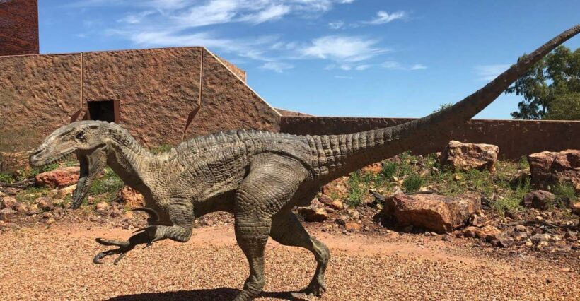 Winton: Age of Dinosaurs Museum Half-Day Tour - The Guided Tour and What It Adds