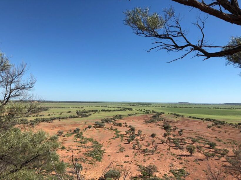 Winton: Bladensburg National Park Half Day Tour - Key Points