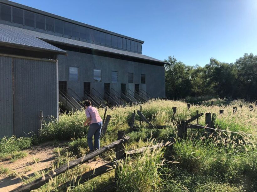 Winton: Bladensburg National Park Half Day Tour - Who Should Consider This Tour?