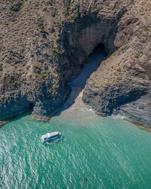 Wirrina Cove: Coastal Sightseeing Boat Tour with Seal Colony - The Authenticity and Value for Travelers