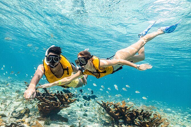 With Turtles, Shipwreck, Cenote, and Reef and Transport Included - Who Will Enjoy This Tour?