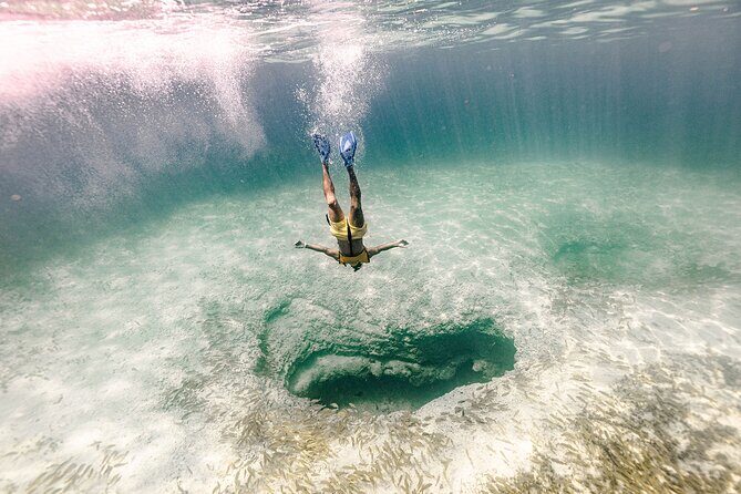 With Turtles, Shipwreck, Cenote, and Reef and Transport Included - FAQ