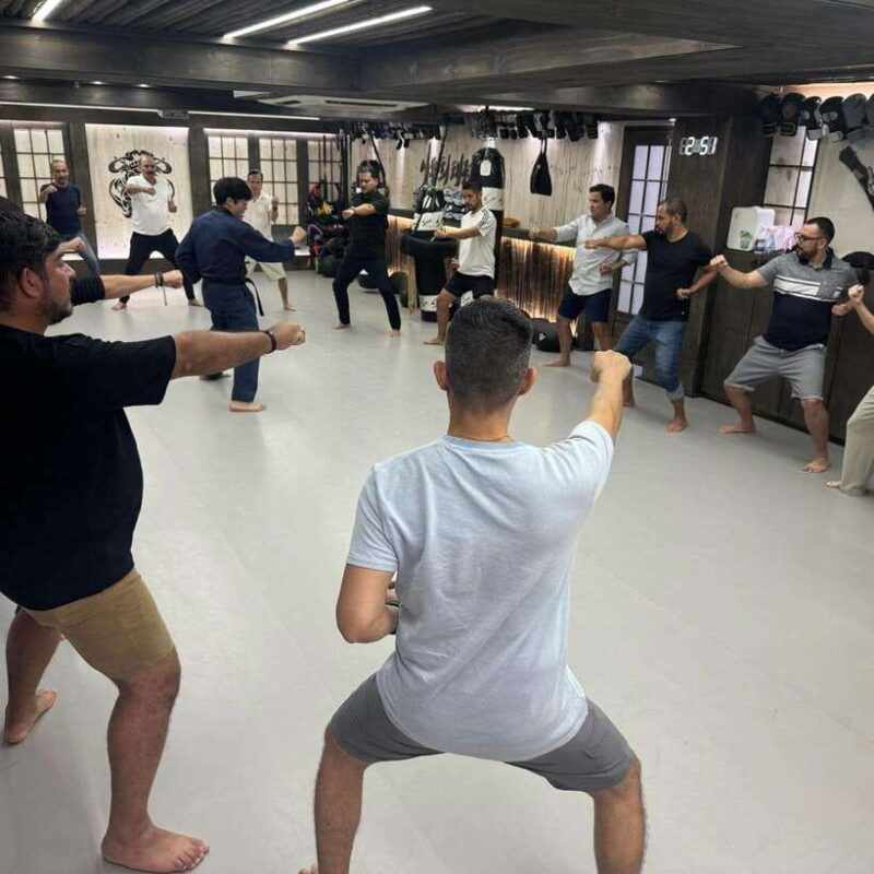 WKT Combat Taekwondo & Self-defense One Day Class in Seoul - Practical Tips for Participants