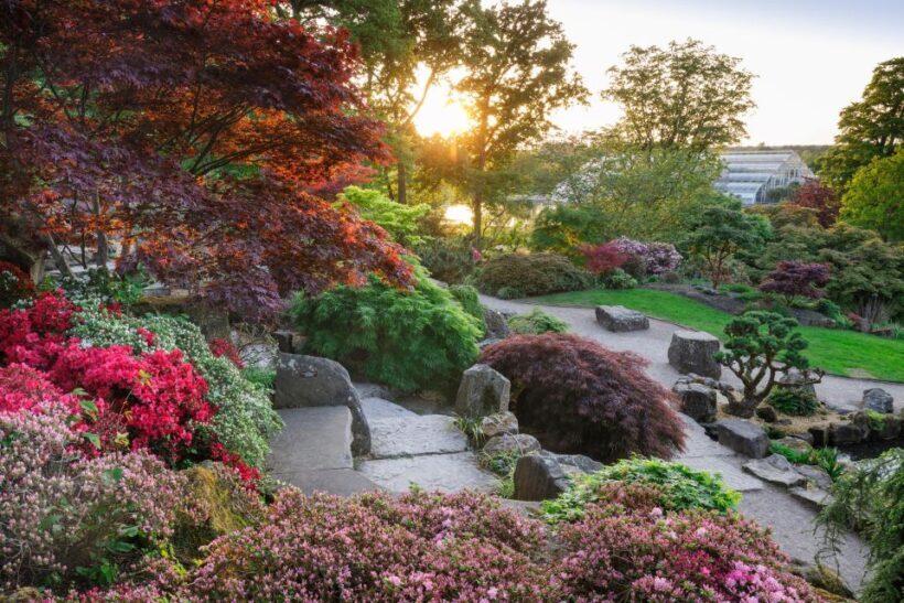 Woking: Royal Horticultural Society Wisley Garden Ticket - Practical Details: Planning Your Visit