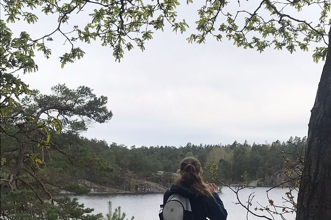 Wolf and Wildlife Tracking in Sweden - Who Will Love This Tour?