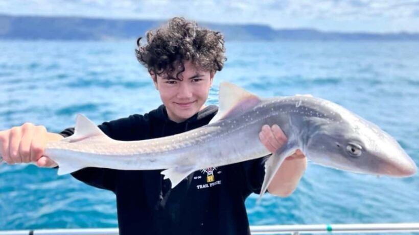 Wollongong Deep Sea Fishing Charter with Breakfast - Weekday - Final Thoughts: Who Will Love This Experience?