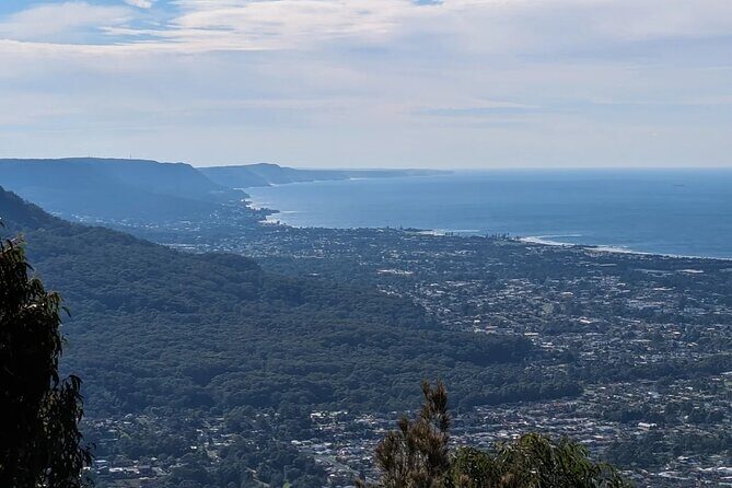 Wombat and Kangaroo Wildlife Tour from Sydney - Key Points