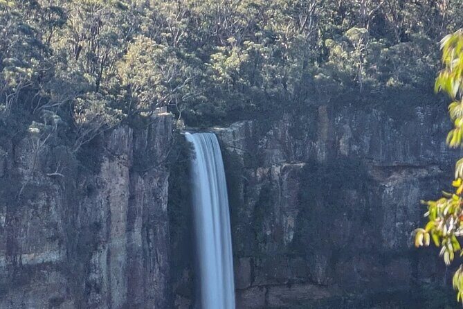 Wombat and Kangaroo Wildlife Tour from Sydney - FAQ