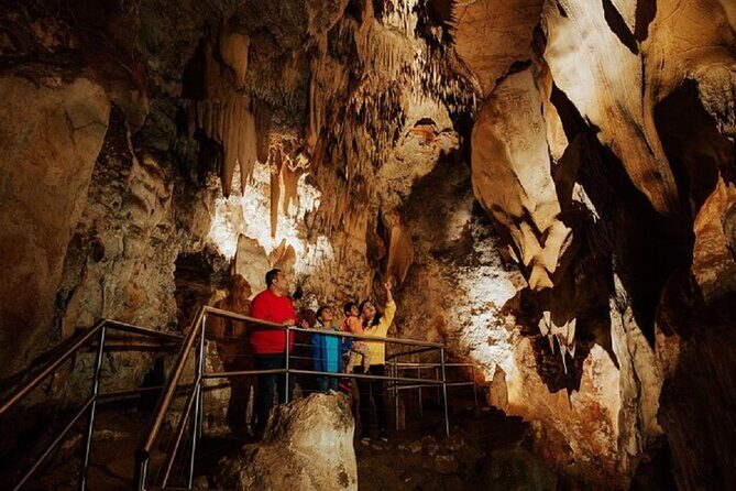 Wombeyan Caves: Wollondilly Cave Guided Tour - Key Points