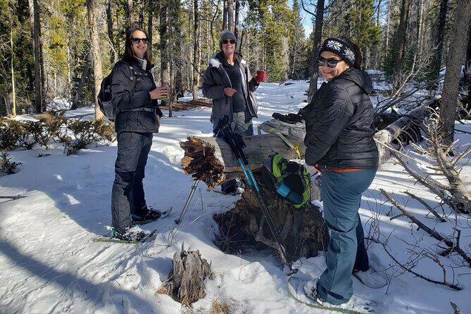 Women's Snowshoeing in Rocky Mountain National Park for Beginners - Who Will Love This Tour?