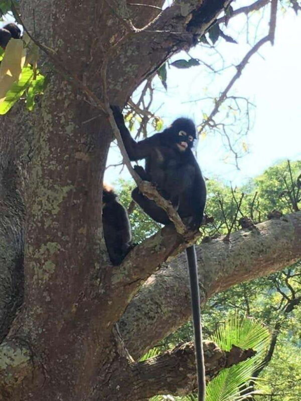 Wonder at Ang Thong Marine Park from Ko Samui - Assessing the Value