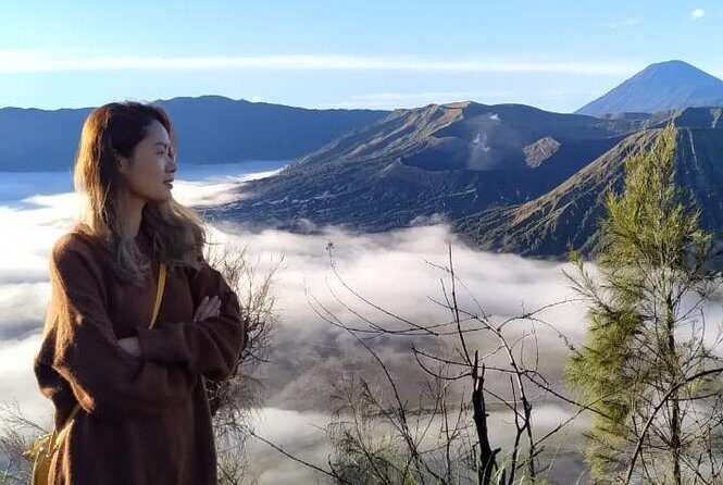 Wonderful Bromo Sunrise Tour Depart from Surabaya - Who Is This Tour Best For?