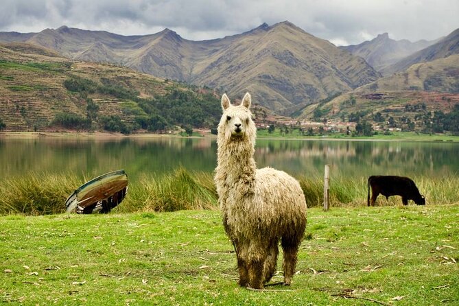 Wonderful Cusco 5-Day Tour With Entrance to Machupicchu - Additional Information