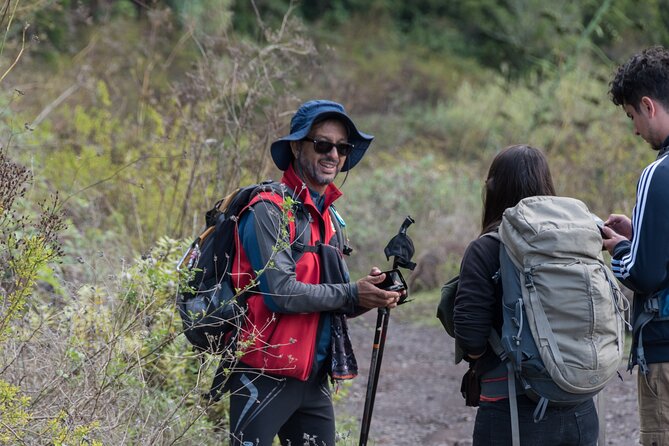 Wonderful Hike Through the Magic Forest of Tenerife - Encountering Endemic Species