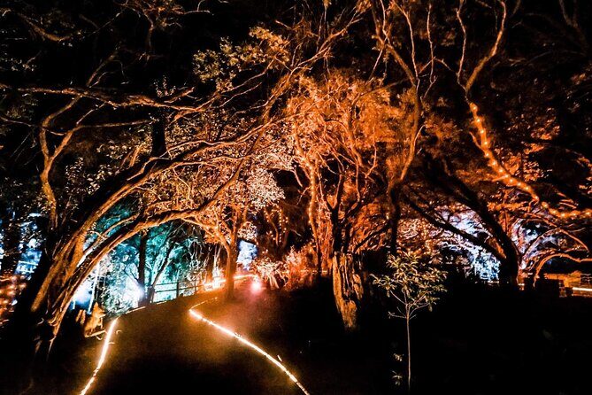 Wonderland by Night Norfolk Island - What is Wonderland by Night all about?
