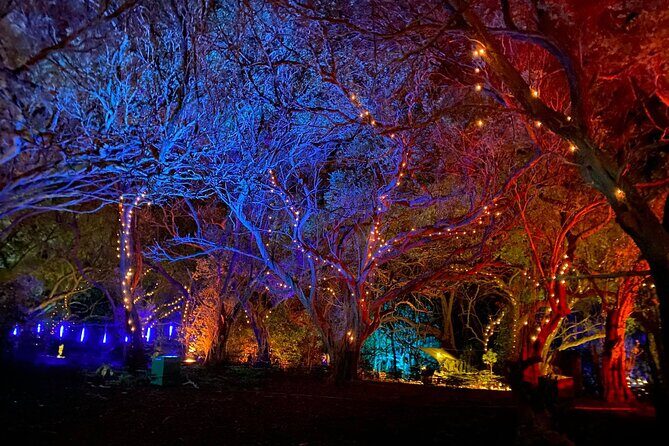 Wonderland by Night Norfolk Island - The Itinerary: What Can You Expect?