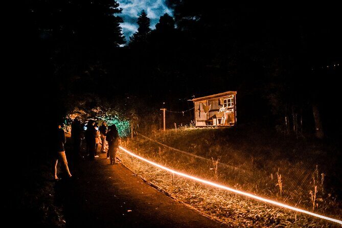 Wonderland by Night Norfolk Island - The Sum Up