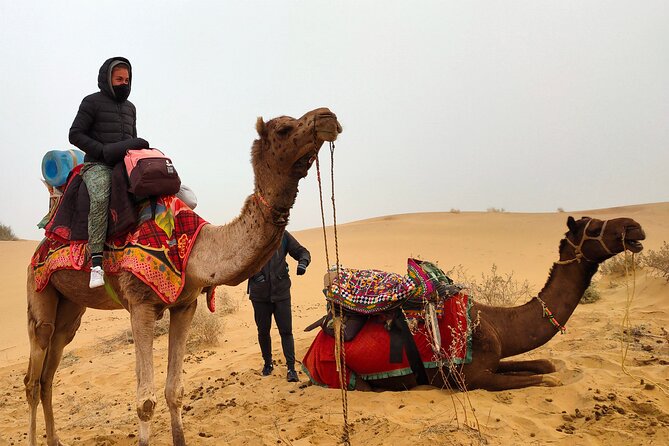 Wonderlust Desert & Camel Safari with Rumi Caravan of Thar Desert - Practical Details and Considerations