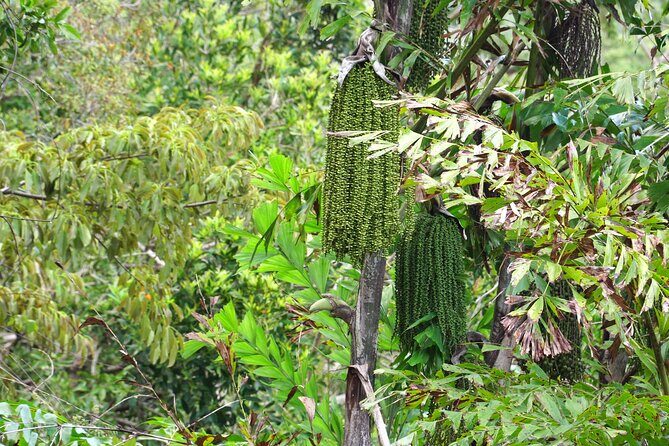 Wonders of Nui Chua National Park - Day Trek in Vinh Hy Bay - Final Summary