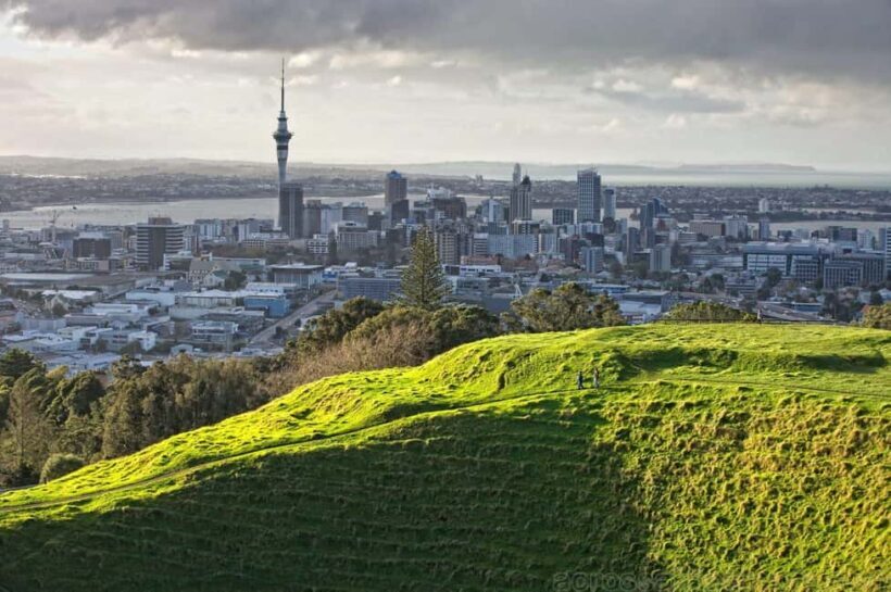Wonders of Wellington: A Day of Icons, Views & Culture - An Inside Look at the Itinerary