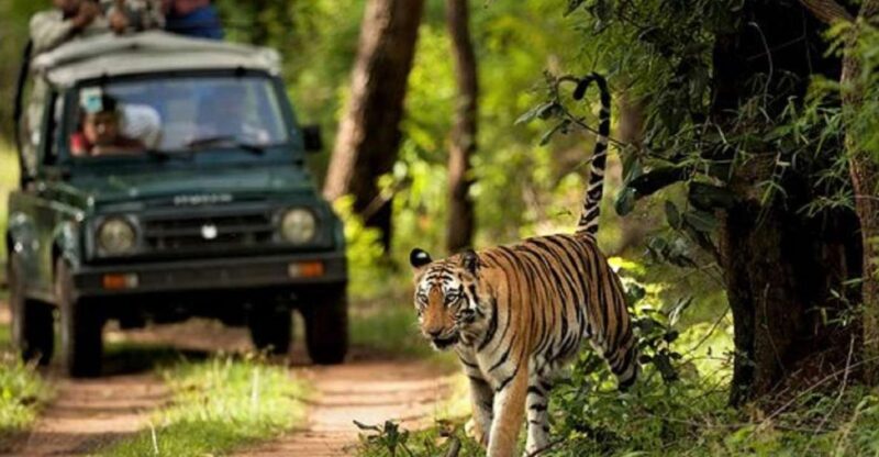 Wonders of Wildlife: 4-Day Chitwan National Park Tour - Cultural Exploration