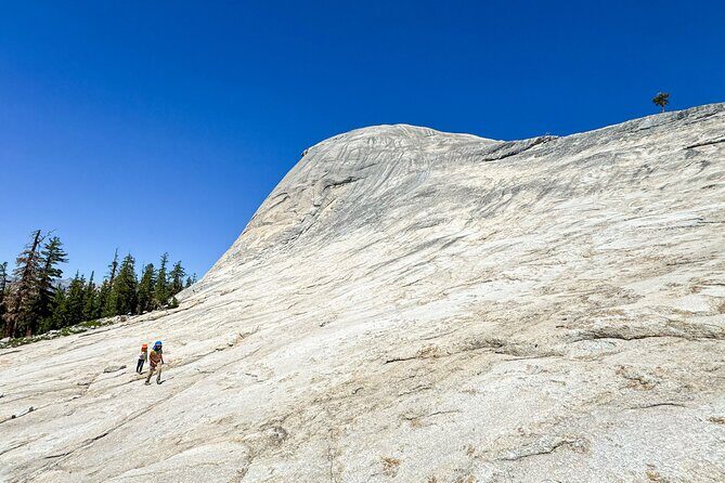 Wonders of Yosemite: Kid Friendly Private Tour - Exploring the Wonders of Yosemite: Kid-Friendly Private Tour